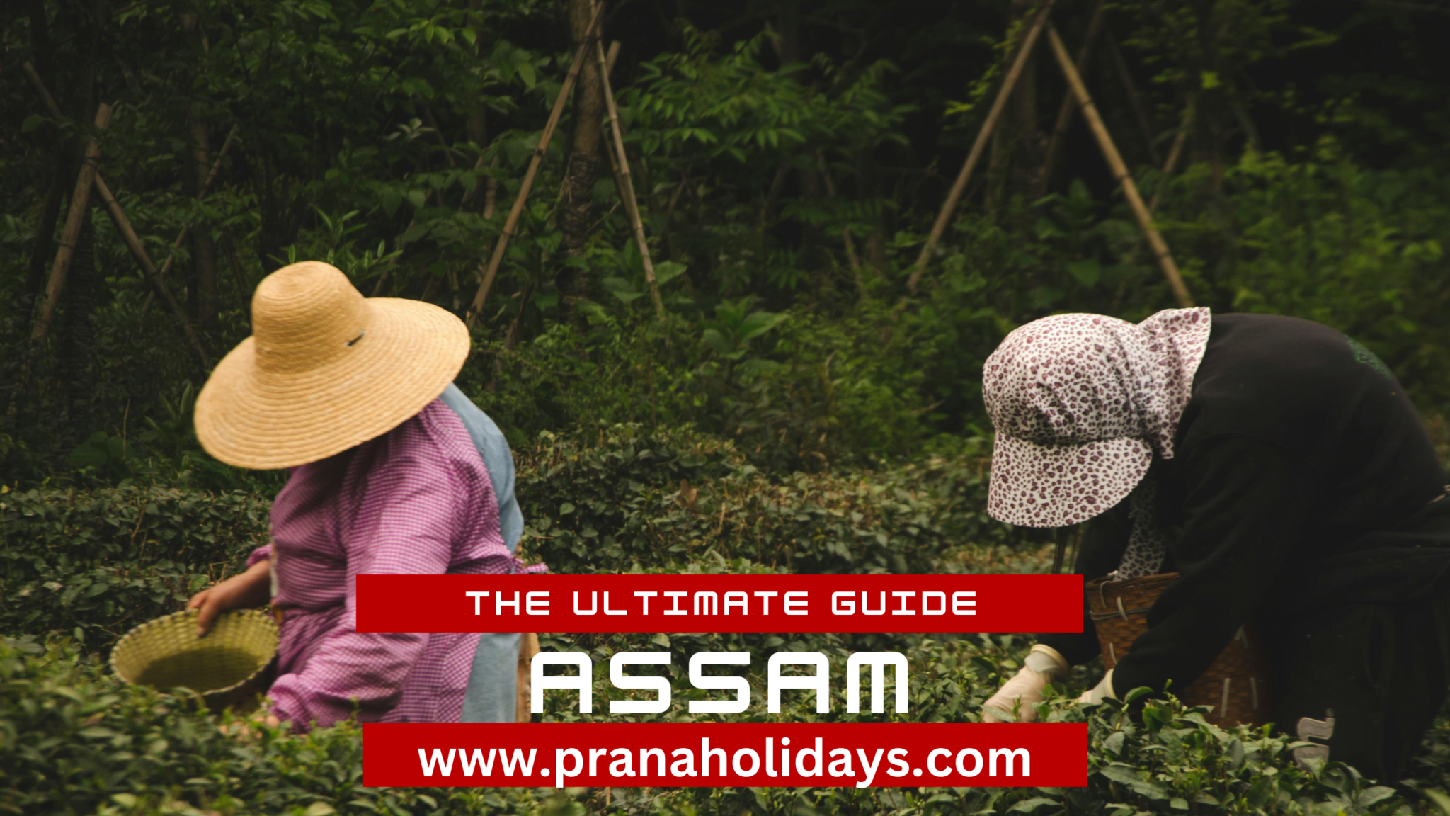 Top 10 tourist places in state of Assam