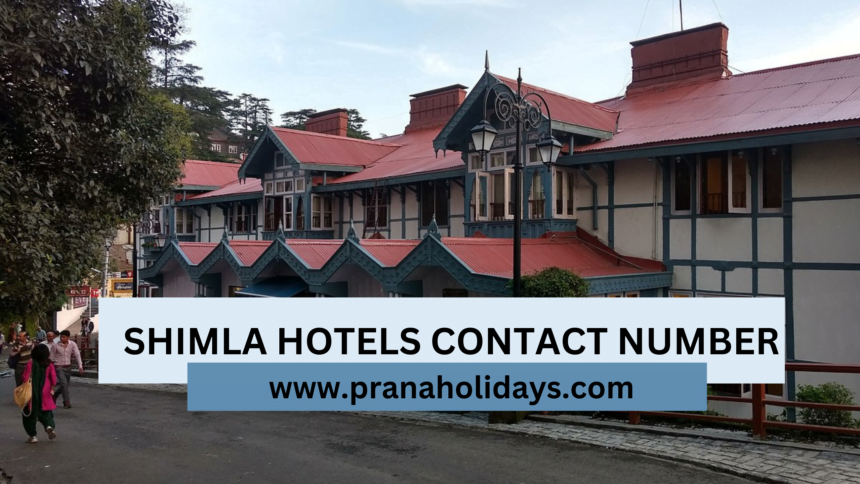 10 Best Shimla hotel contact number in 2024